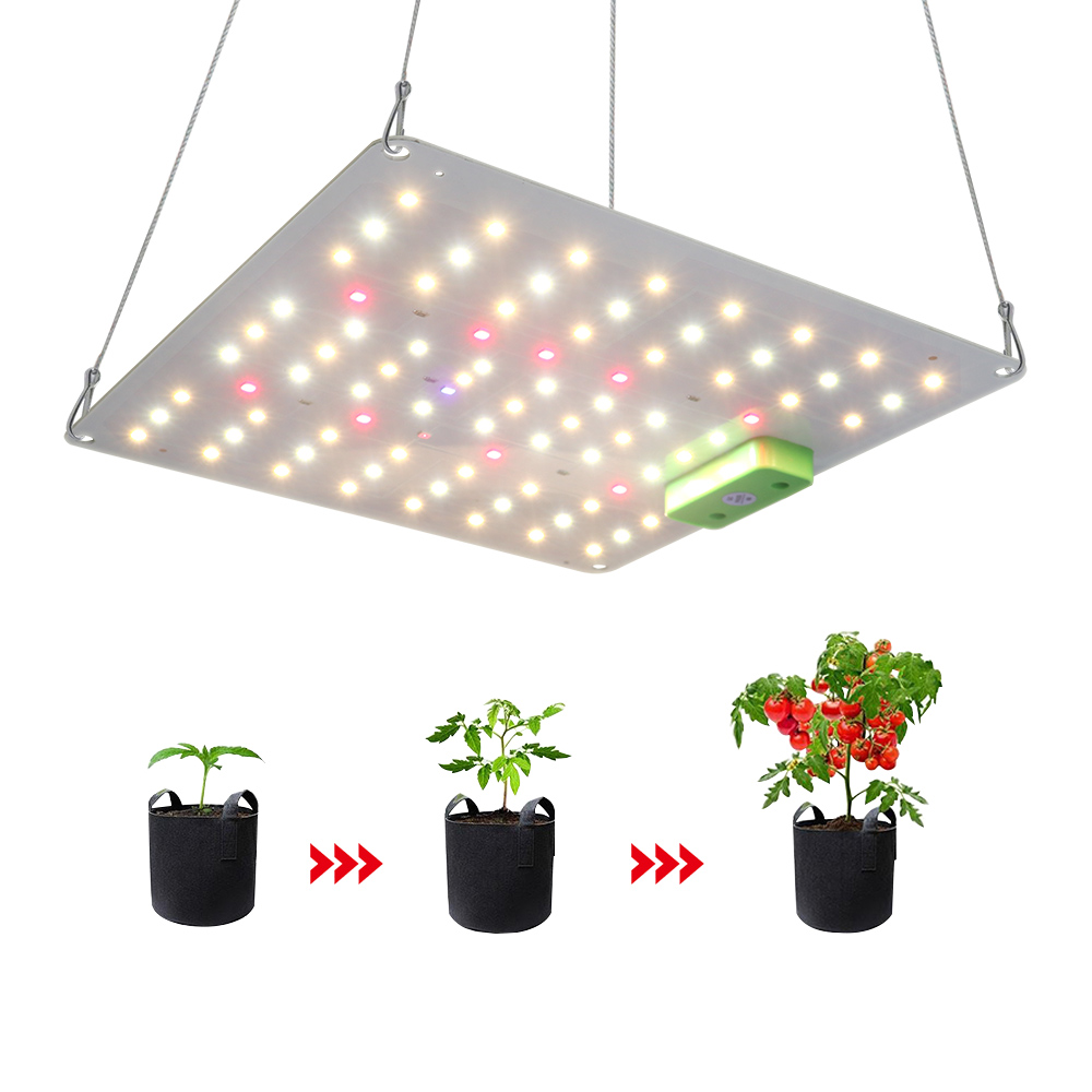 Quantum Board 36W LED Grow Light - Yxo Leds