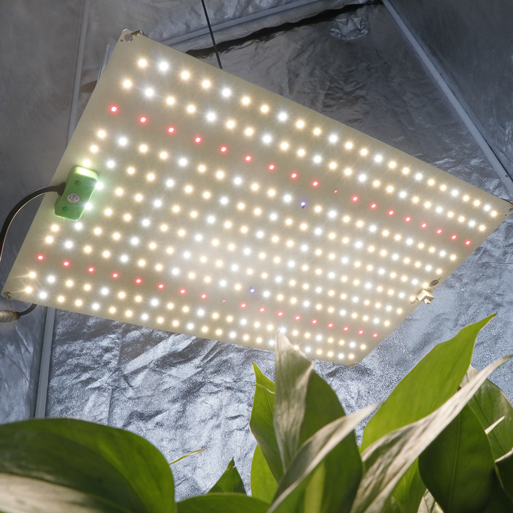 Quantum Board 120W LED Grow Light - Yxo Leds