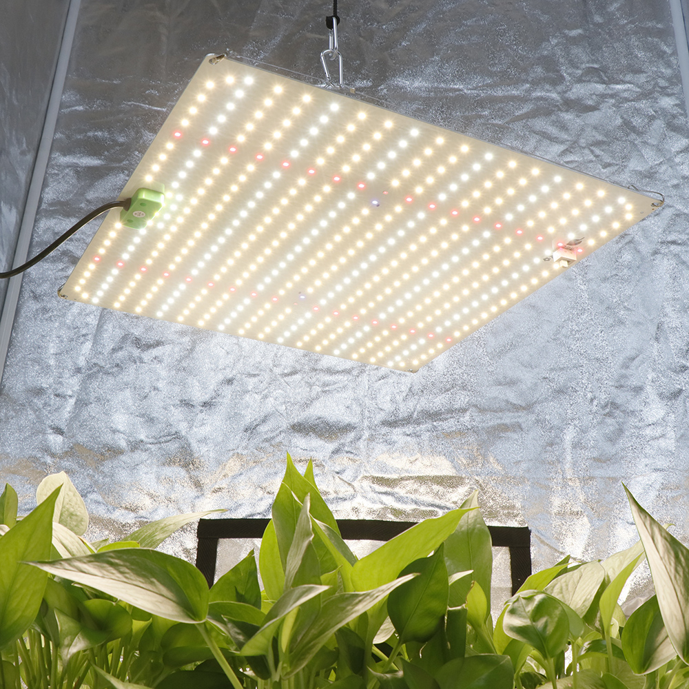 Quantum Board 150W LED Grow Light - Yxo Leds