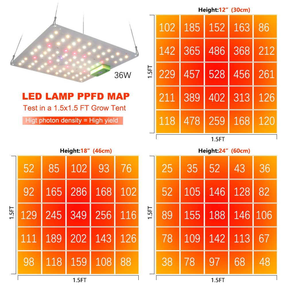 Quantum Board 36W LED Grow Light - Yxo Leds