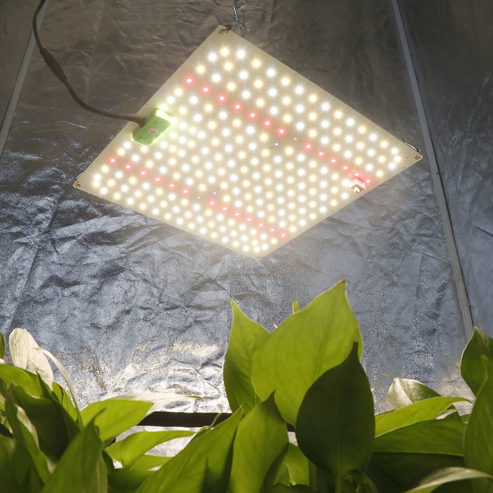 Quantum Board 65W LED Grow Light - Yxo Leds