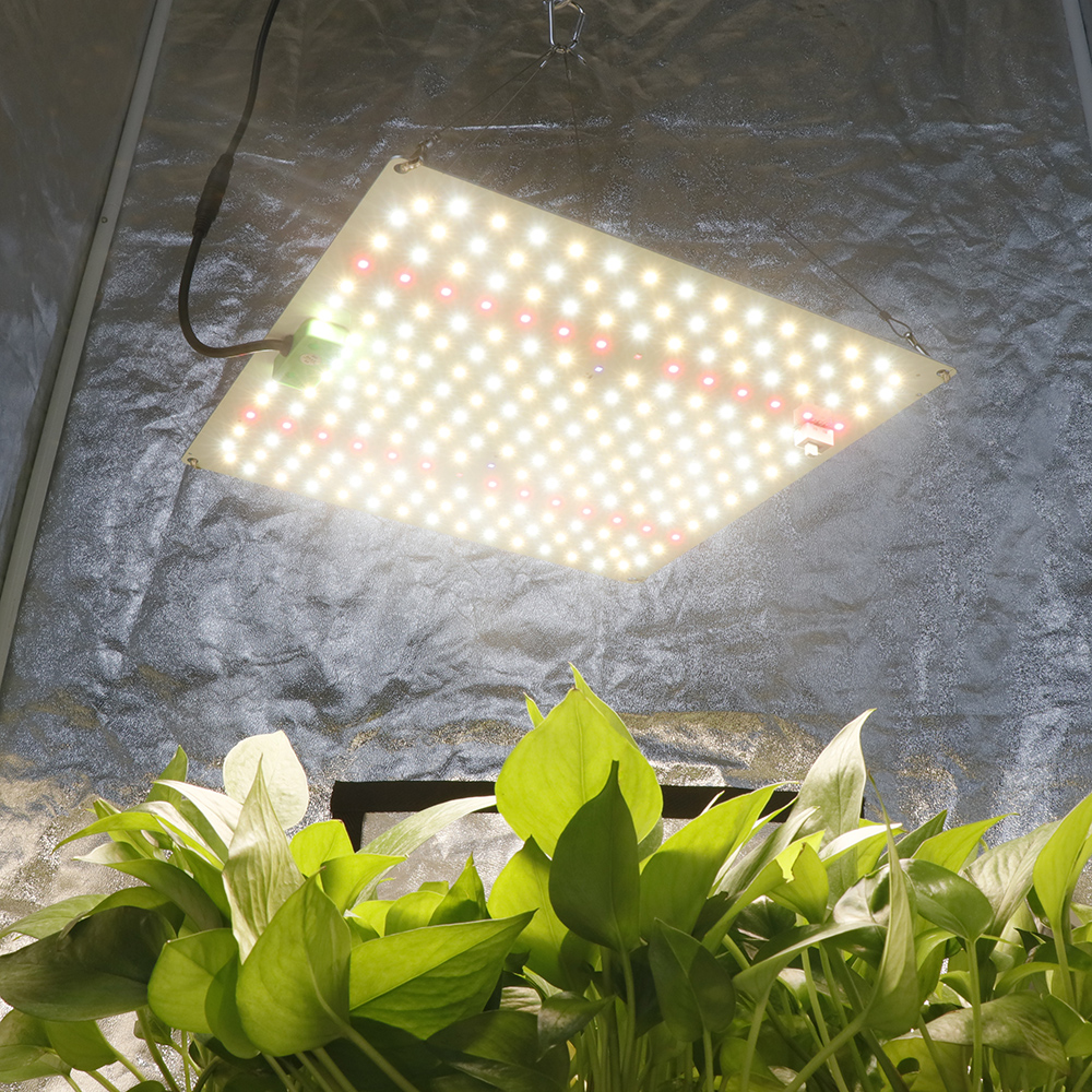 Quantum Board 85W LED Grow Light - Yxo Leds