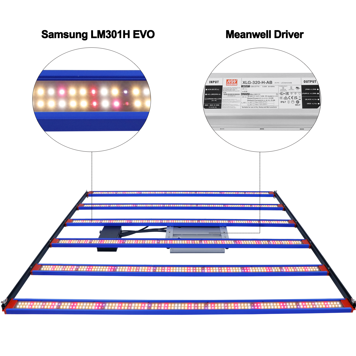650W Samsung Lm301h EVO Full Spectrum LED Grow Light High with Meanwell ...