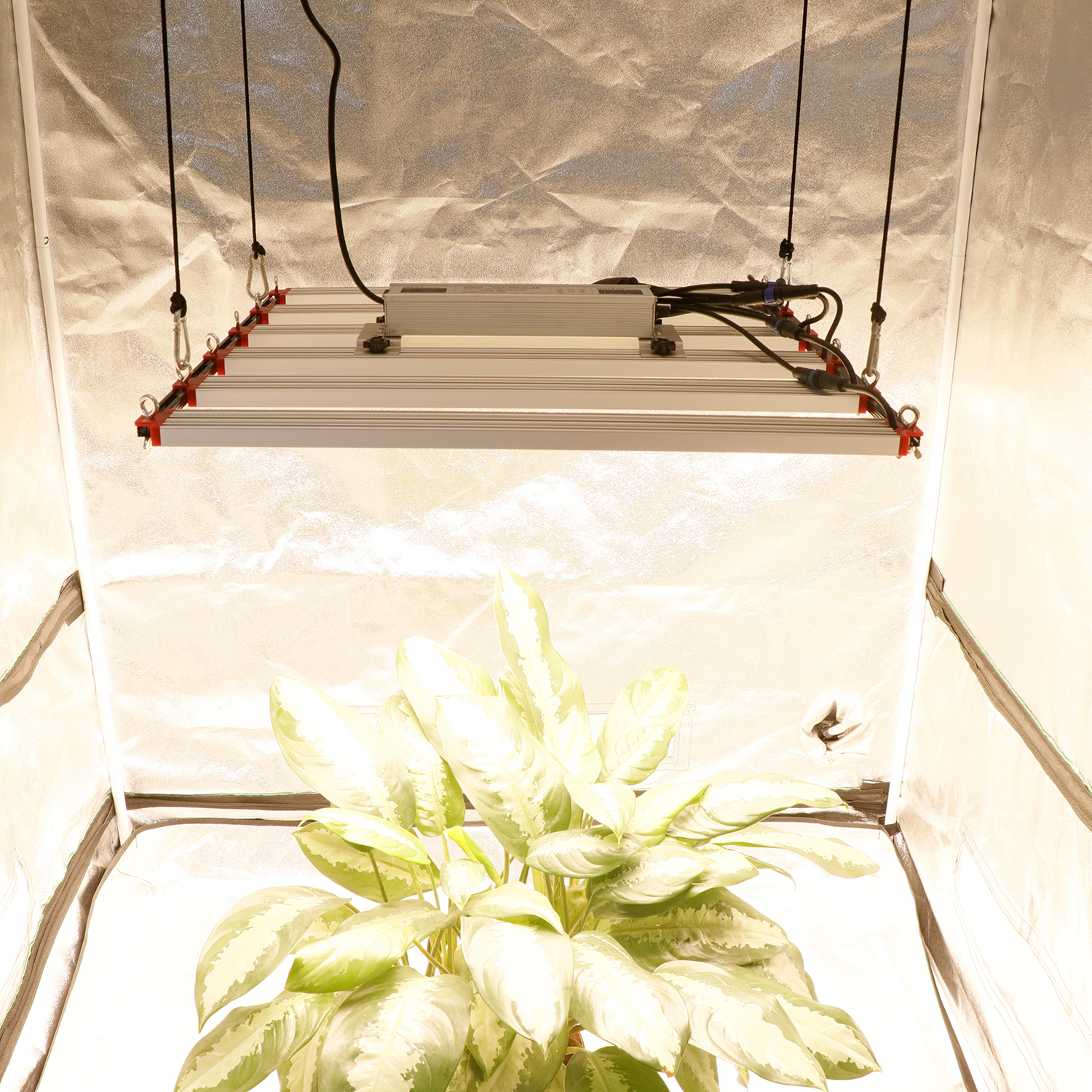 320W Samsung Lm281B+Pro Full Spectrum LED Grow Light High - Yxo Leds